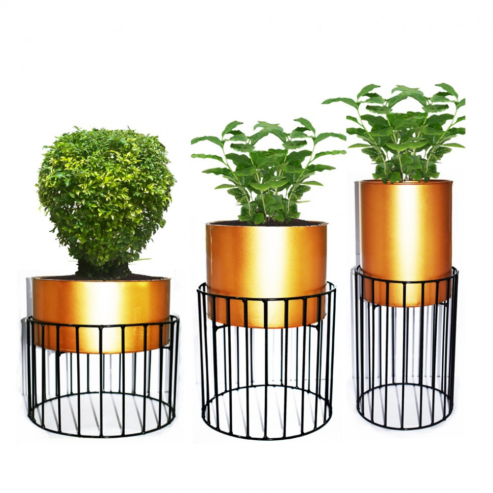 Buy Metal Wire Based Planter Stand With Metal Pot- Set of 3 online up ...